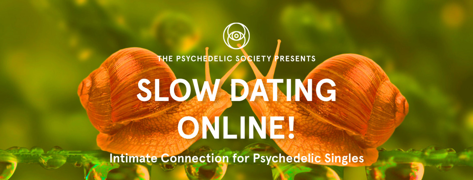 Slow Dating Online: Intimate Connection for Psychedelic Singles · Dandelion